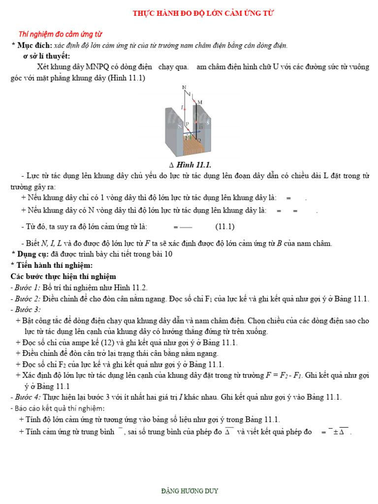 LT Bai 11 VL12 CTST Thuc Hanh Do Do Lon Cam Ung Tu | PDF