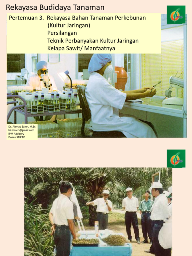 3 Rekayasa Bahan Tanaman 2021 | PDF