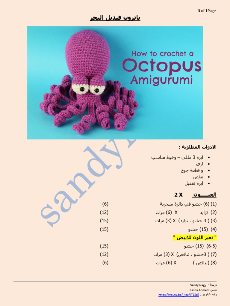 Sandy Nagy Rasha Ahmed | PDF