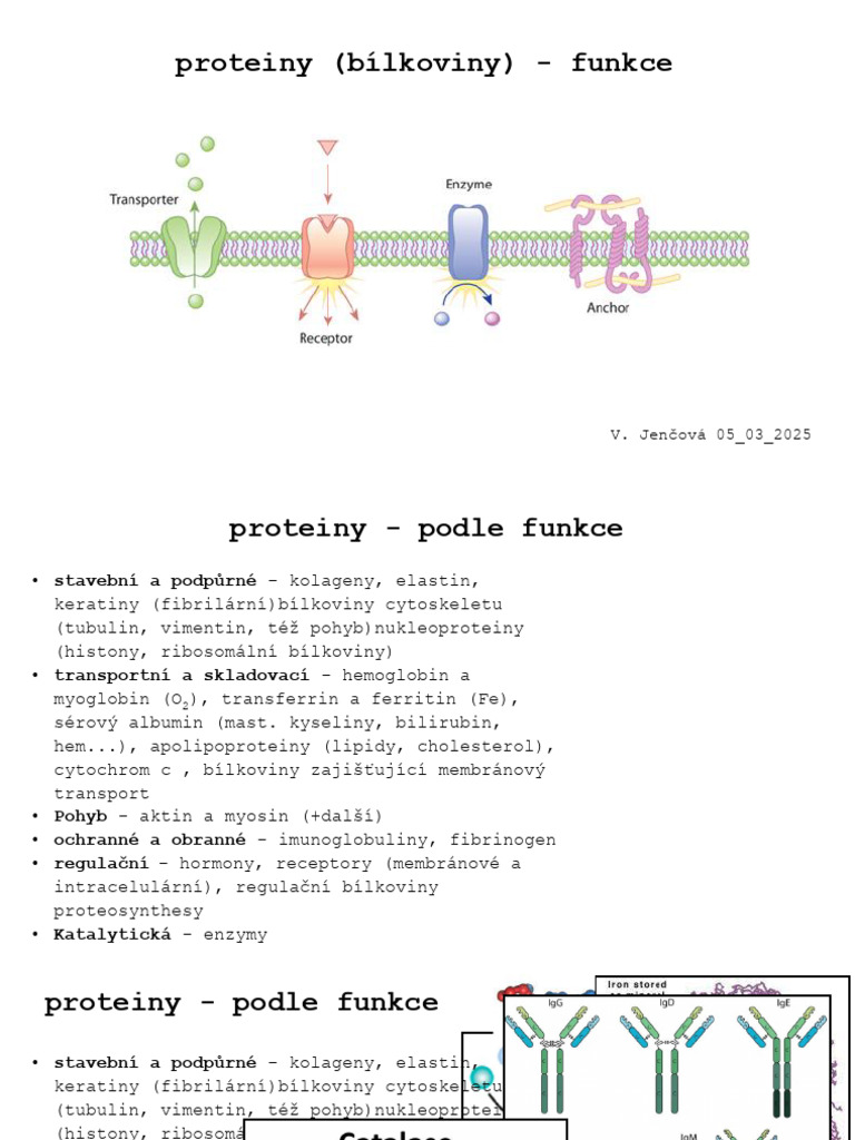 3 2025 BB1 ZBT Proteiny Fce | PDF