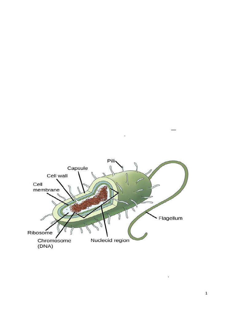 BCH 202 Introduction To Biochemistry | PDF | Cell (Biology ...
