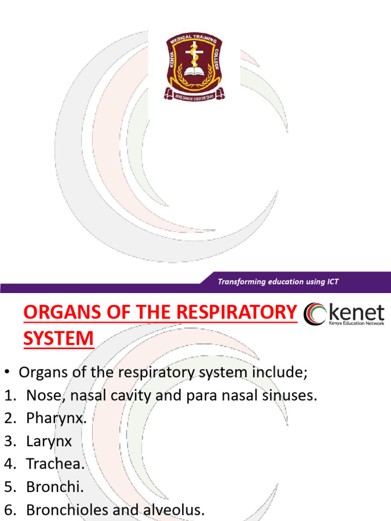 EMT Respiratory System | PDF | Respiratory Tract | Lung