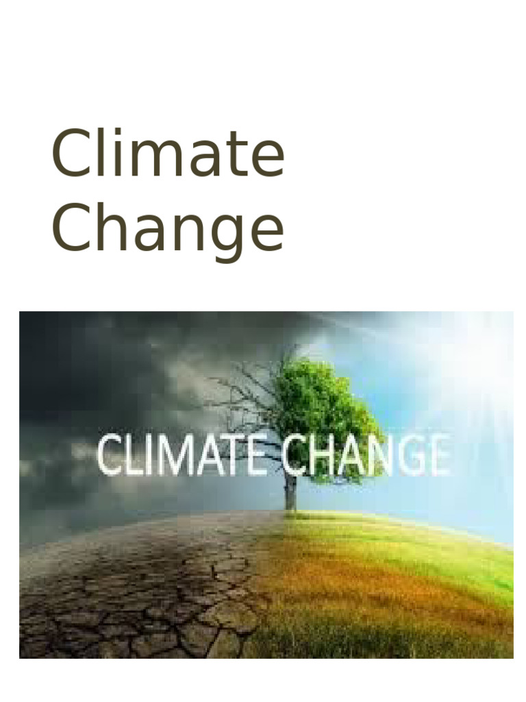 Word Assignment 1 | PDF