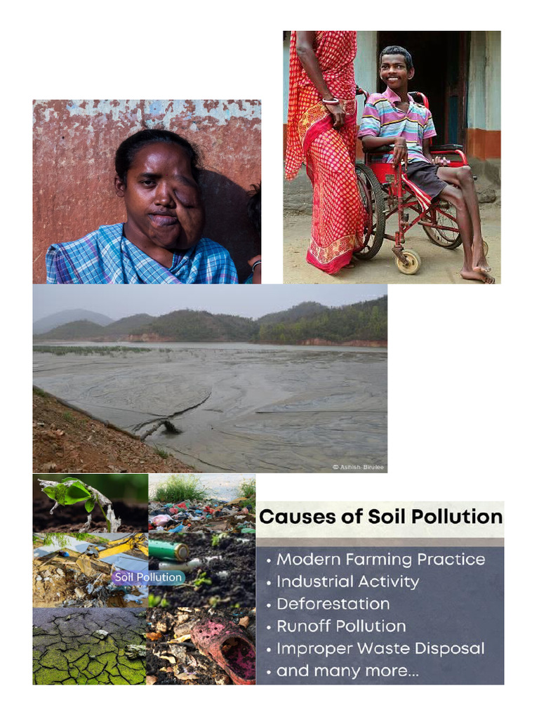 Geography Project On Pollution | PDF