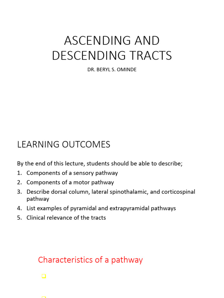 Ascending and Descending Tracts | PDF | Spinal Cord | Central Nervous System