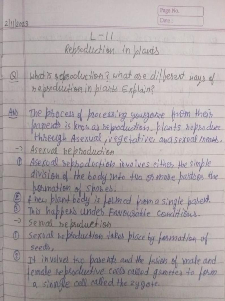 Reproduction in Plants | PDF