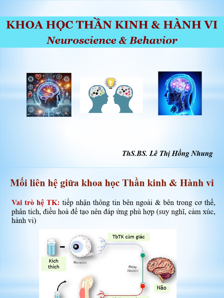 Khoa Hoc TK & HV | PDF