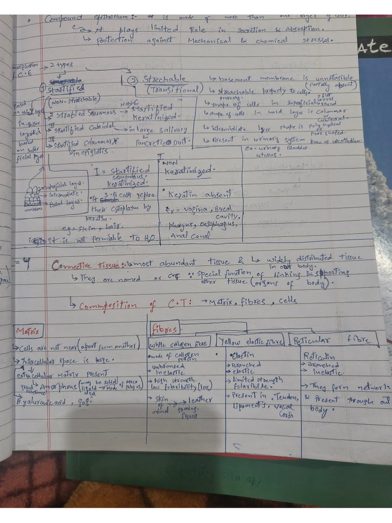 Formula and Related Notes | PDF