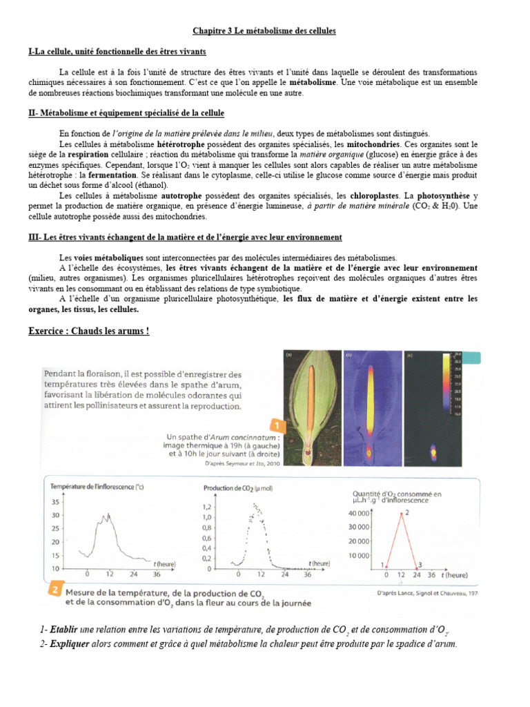 Cours Chap3 | PDF