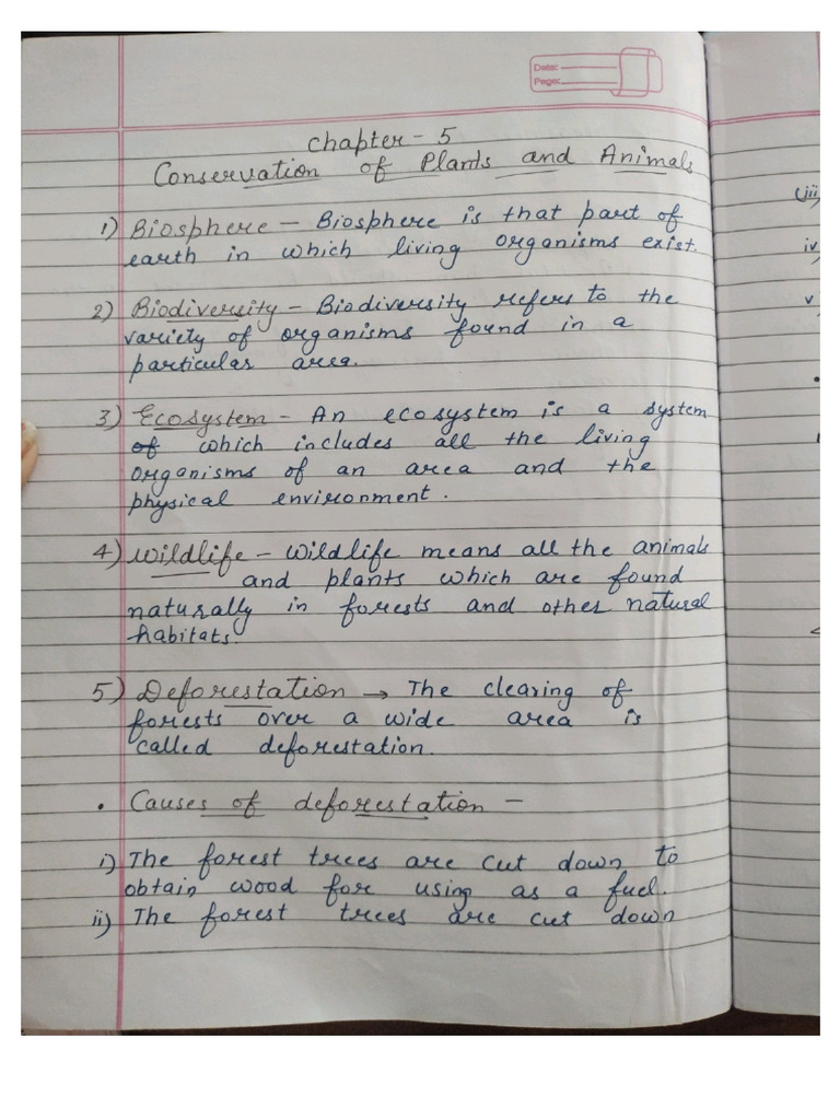 Chapter - 5 (Class 8th) | PDF