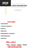 Chapter 3 ANATOMY AND PHYSIOLOGY CELL STRUCTURE & FUNCTION | PDF | Cell ...
