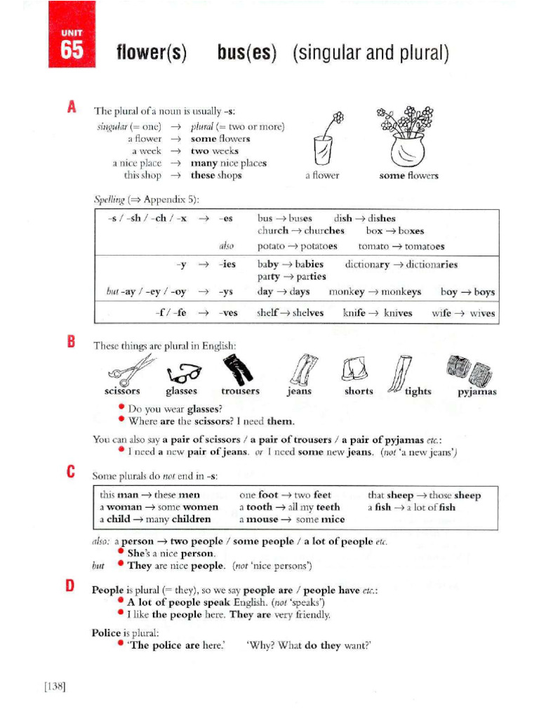 Noun (Sing&Plu) | PDF