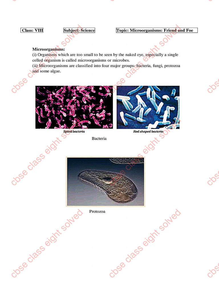 Microorganisms Notes PDF | PDF