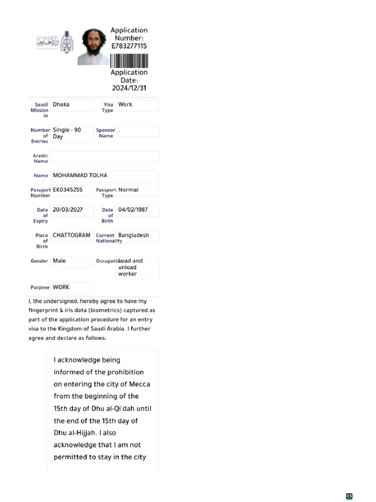 Visa Platform PDF | PDF