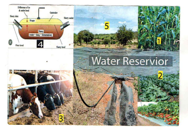 Water Reservior | PDF