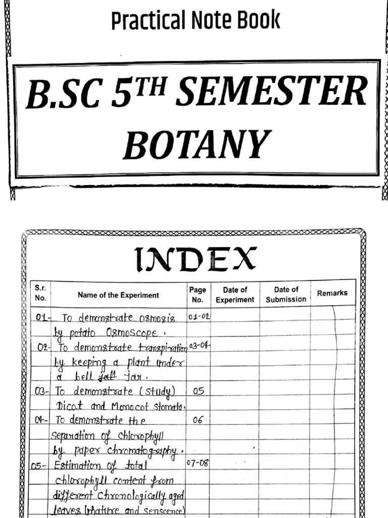 BSC 5th Botany | PDF