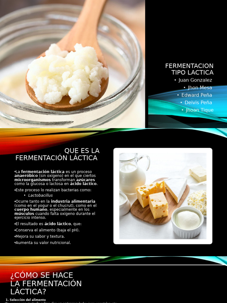 Fermentacion Tipo Lactica de Juancho | PDF | Yogur | Fermentación