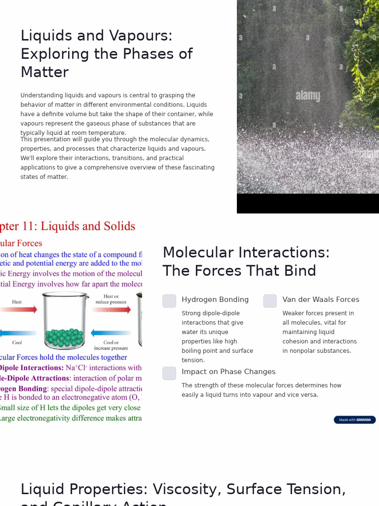 Liquids and Vapours Exploring The Phases of Matter | PDF | Liquids ...