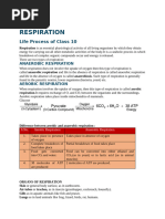 Class 10 Respiration Notes | PDF | Respiratory System | Respiratory Tract