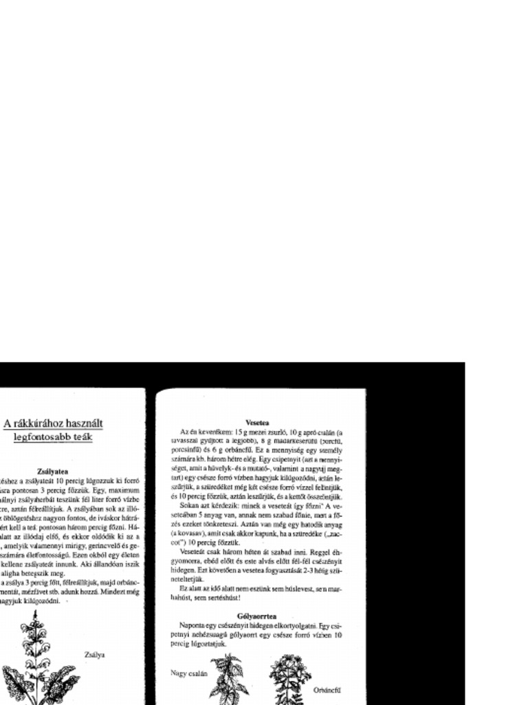 22 28.261022905 A Rak Es Leukemia Gyogyitasa Rudolf Breuss PDF | PDF