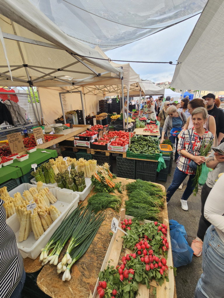 20250607_115348 | PDF