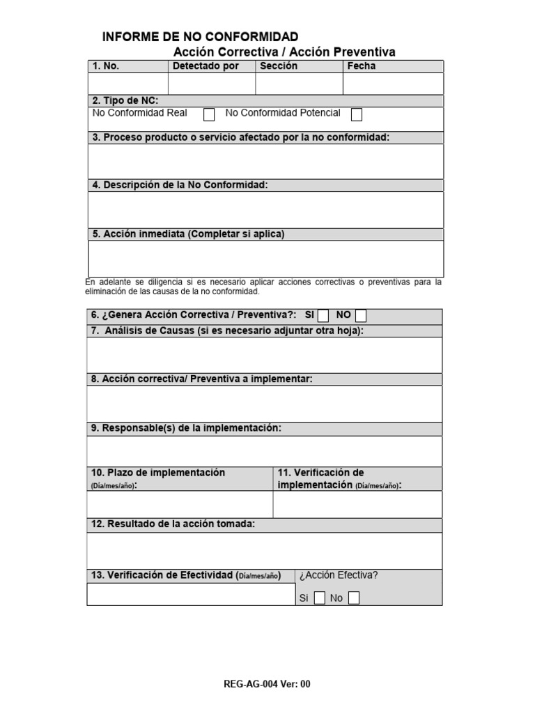 Reg Informe De No Conformidad Pdf 8616