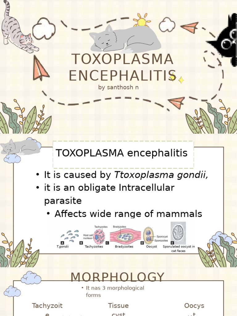 Toxoplasma Encephalitis - 20250517 - 105249 - 0000 | PDF | Microbiology ...
