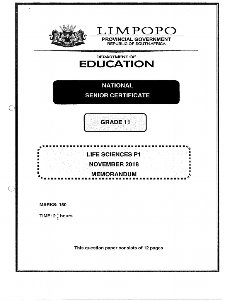 LFSC GR 11 P1 Memo Eng | PDF