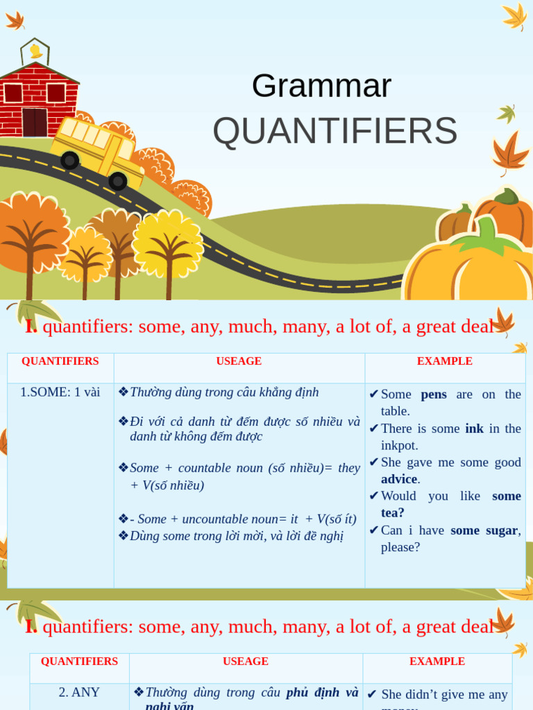 QUANTIFIERS | PDF