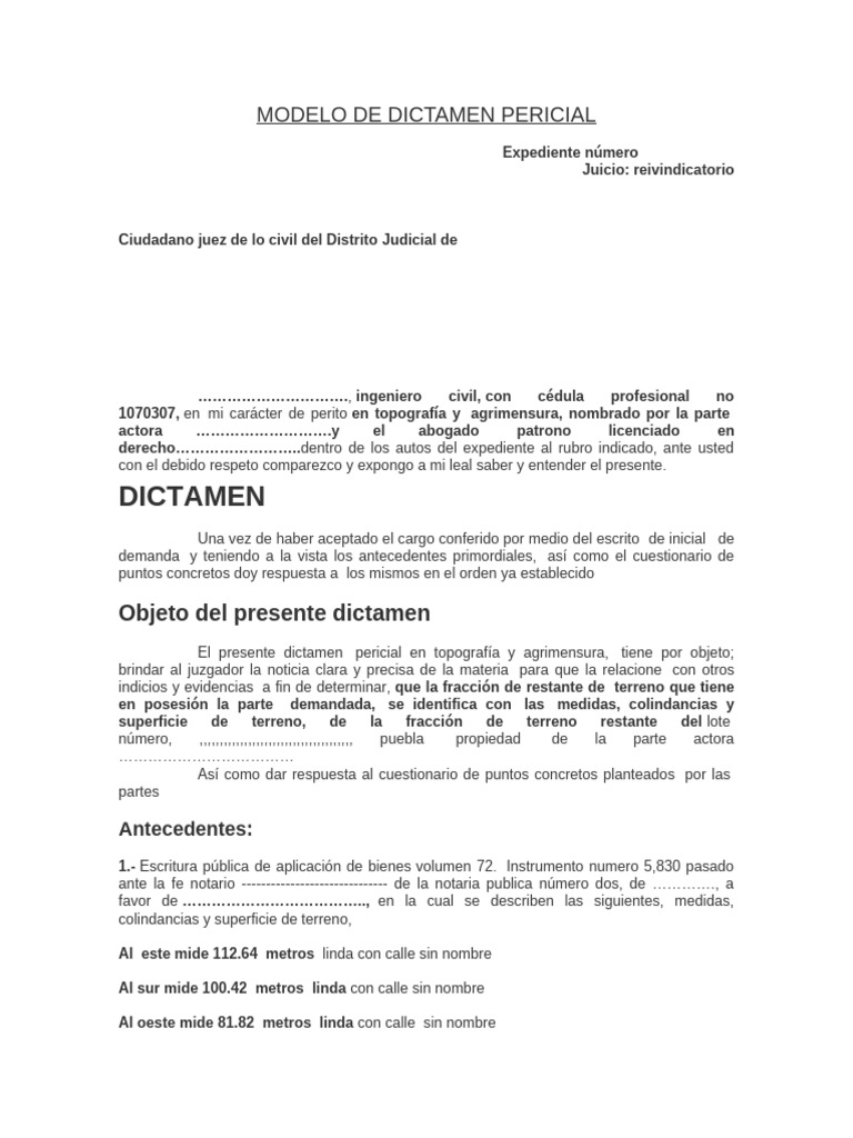 Ejemplo de Dictamen Pericial Civil | PDF | Testigo experto