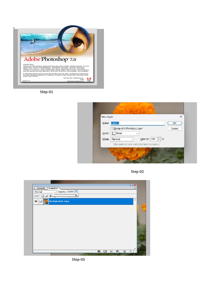 ICT Photoshop Opacity | PDF