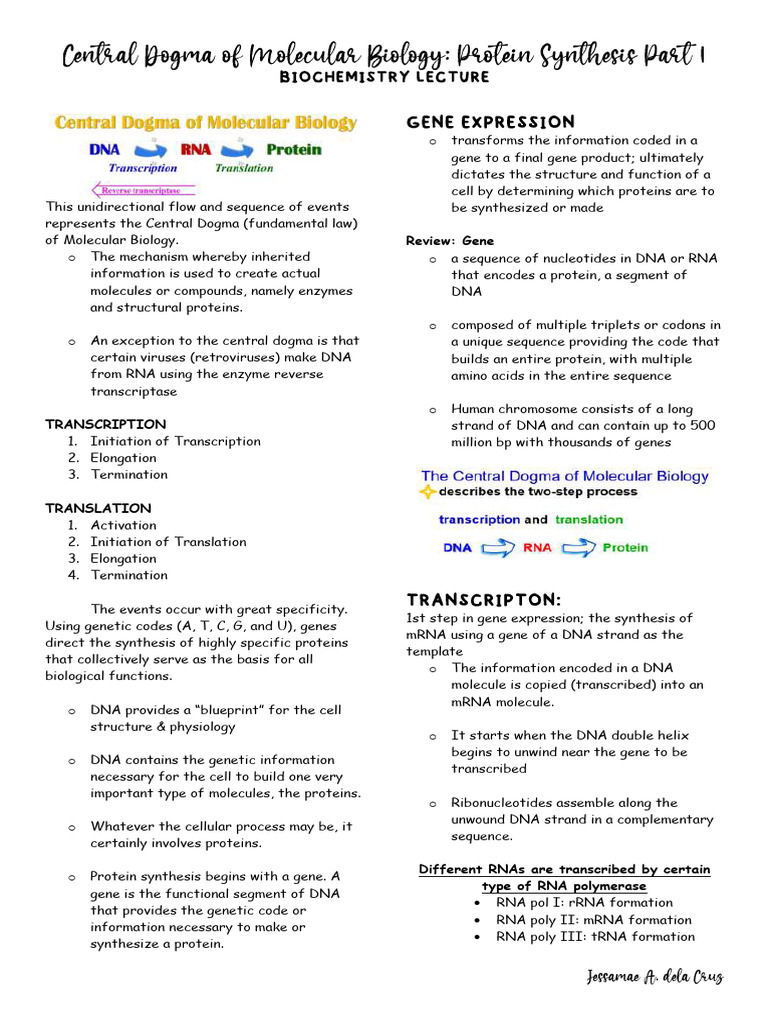 Biochem Lec Finals Reviewer | PDF | Messenger Rna | Translation (Biology)