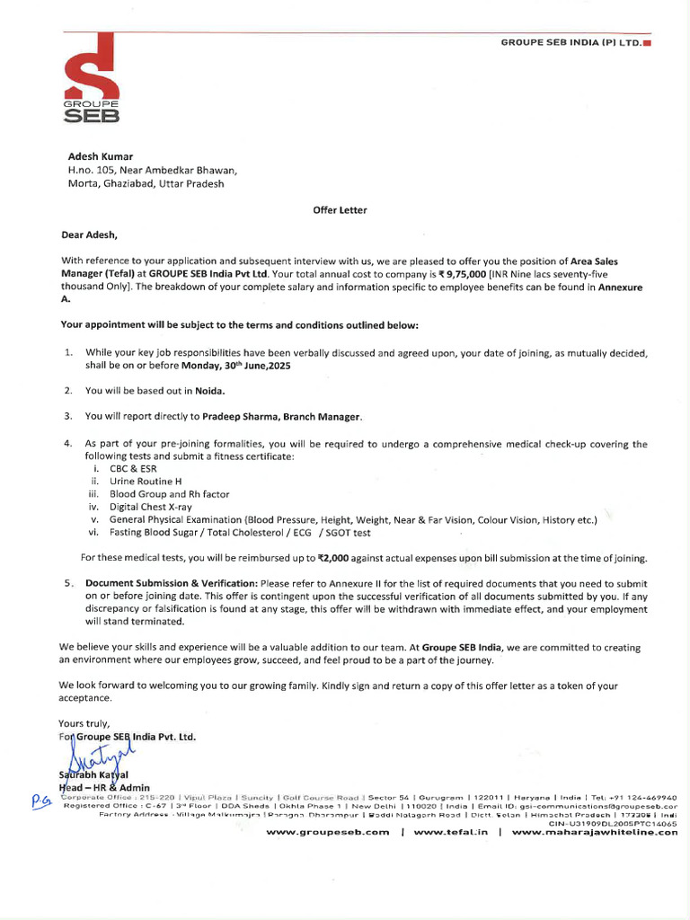 Offer Letter - GSI | PDF