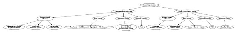 Human Reproduction Mind Map | PDF
