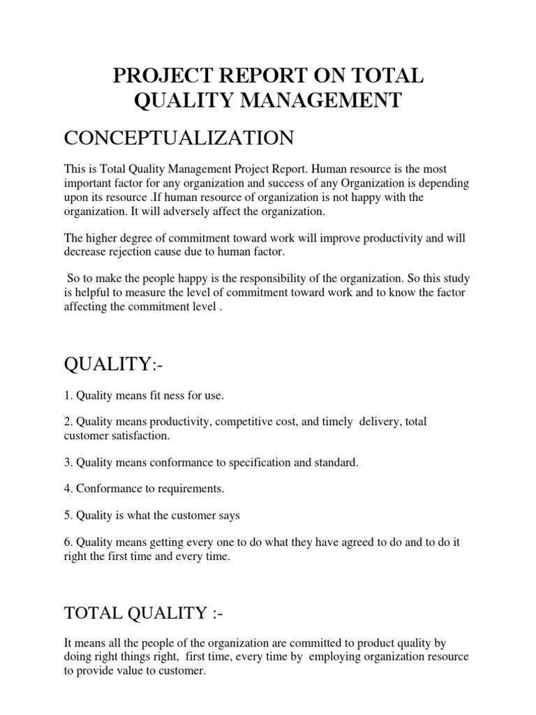 Project Report On Total Quality Management | PDF | Quality Management ...