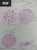 2d ICD-11 Coding Tool Examples | PDF | Medical Specialties | Diseases ...