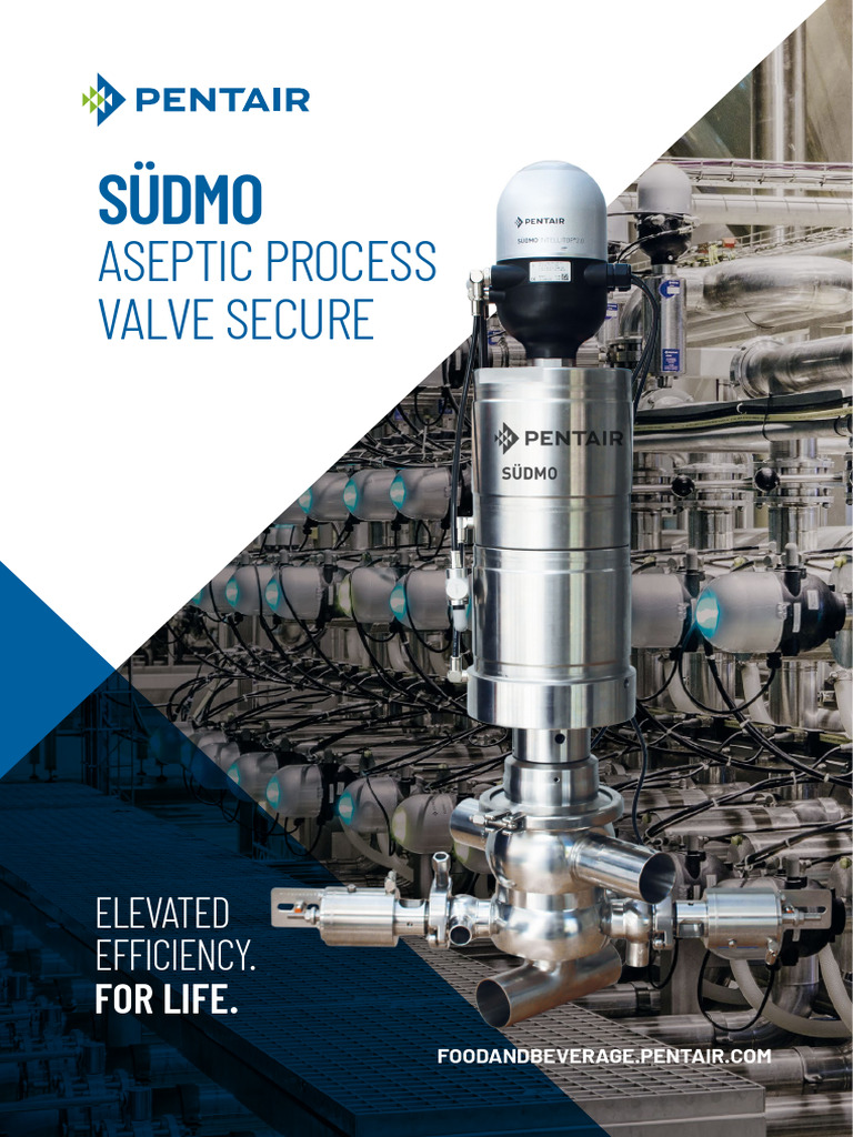 Aseptic Process Valves As DSV Secure Sudmo Brochure v2111 en | PDF | Valve | Sterilization ...