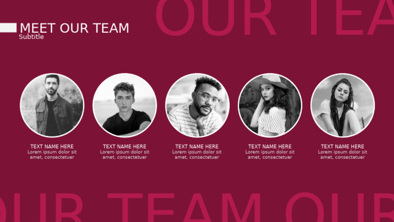 (PPT) Introduce Member | PDF