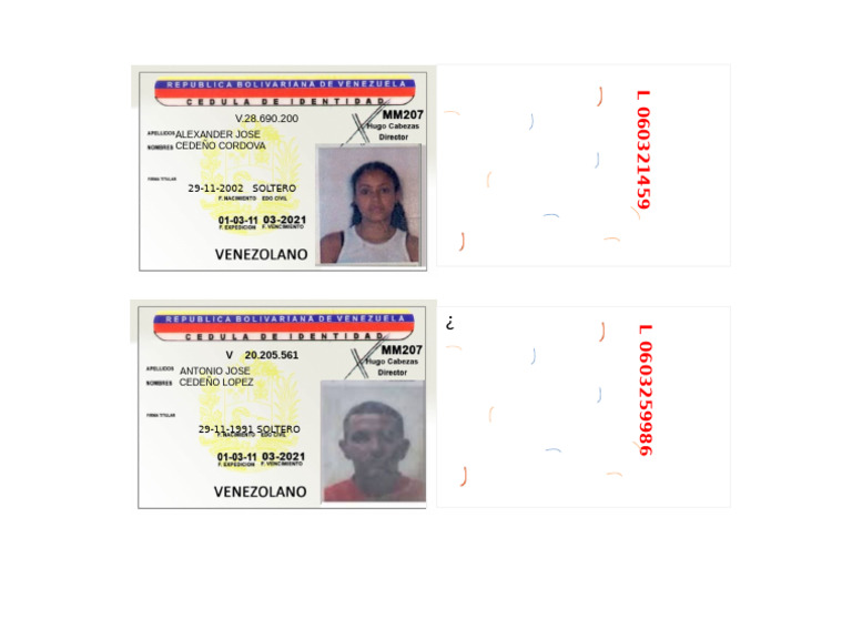 Formato de Cedula-1 - 022016 | PDF