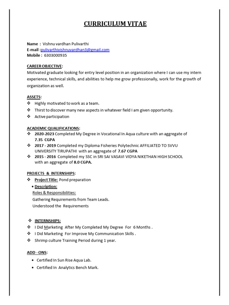 Vishnu Resume | PDF