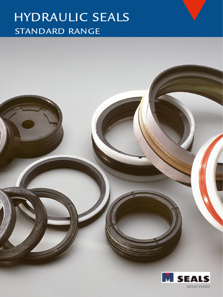 Types of Hydraulic Seals Overview | PDF | Mechanical Engineering | Plastic