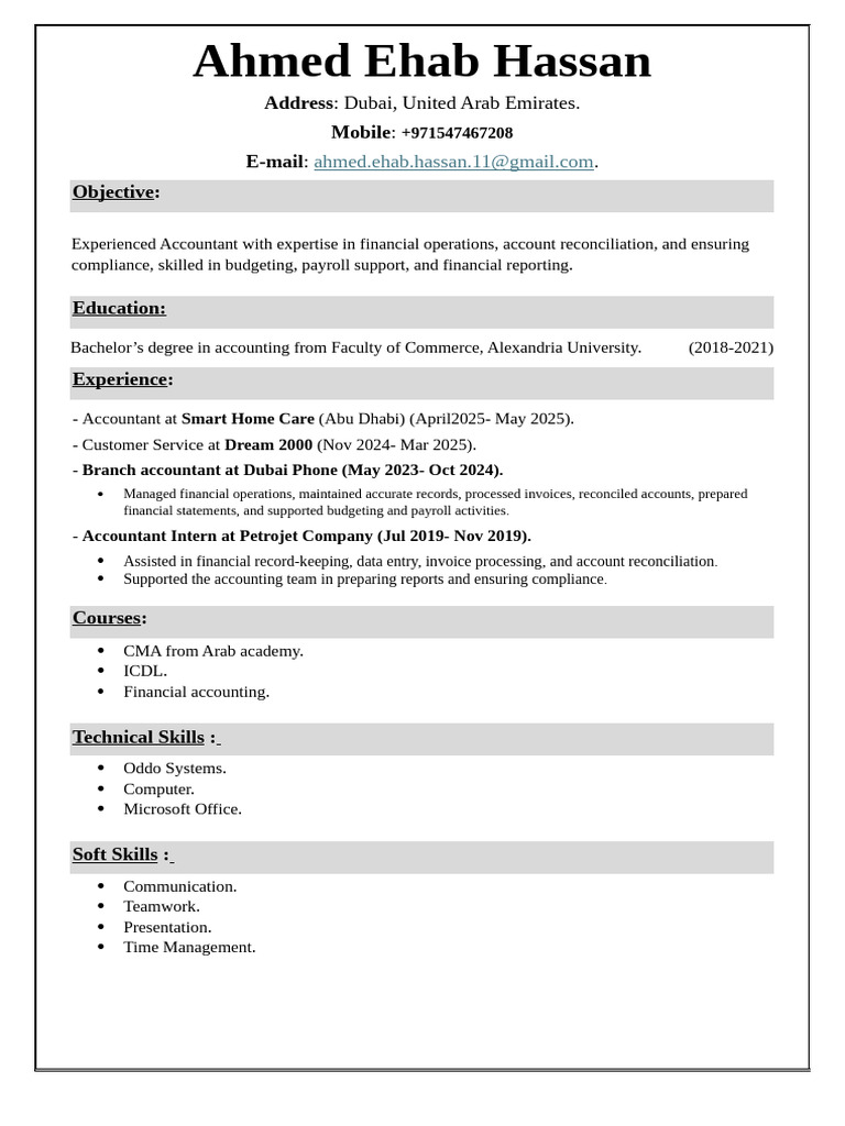 Experienced Accountant in Dubai | PDF