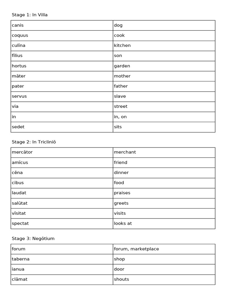 Latin Vocabulary Stages Overview | PDF