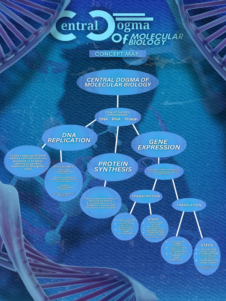 Asuncion Conceptmap PDF | PDF