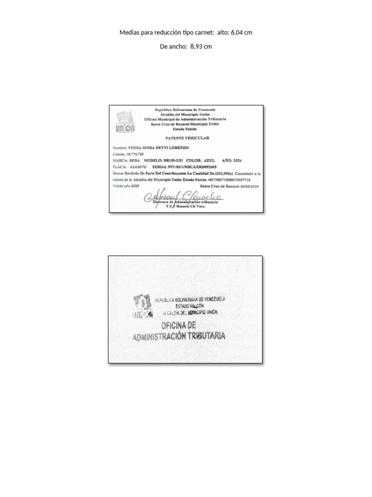 Modelo de Carnet | PDF