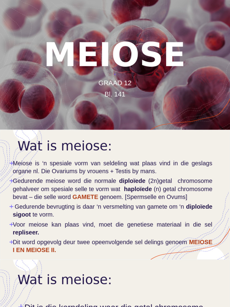 Meiose | PDF