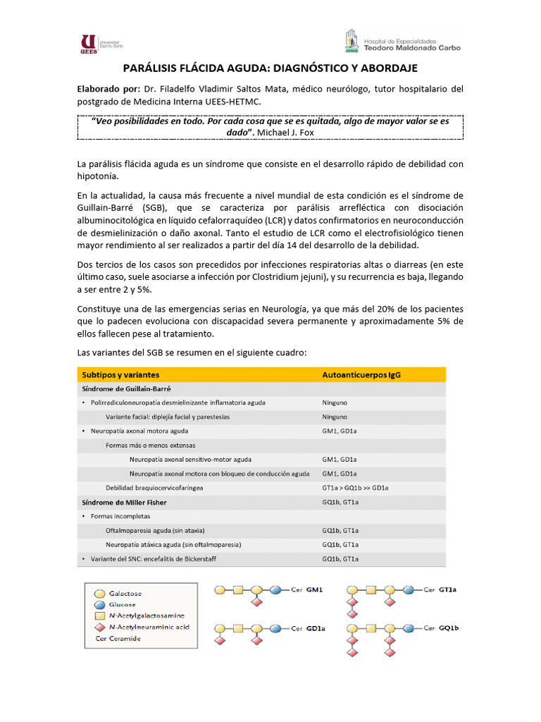 Resumen de Parálisis Flácida Aguda DG y Abordaje | PDF | Neurona motora ...