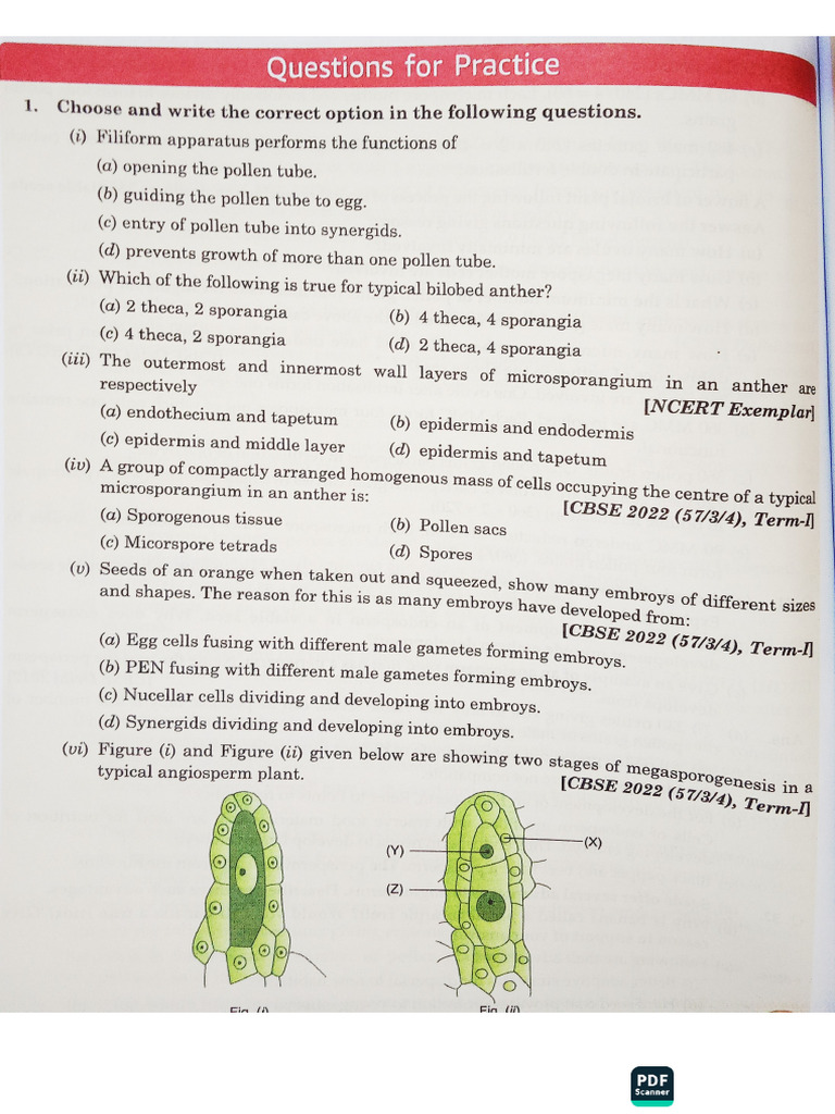 Biology HHW 1 | PDF