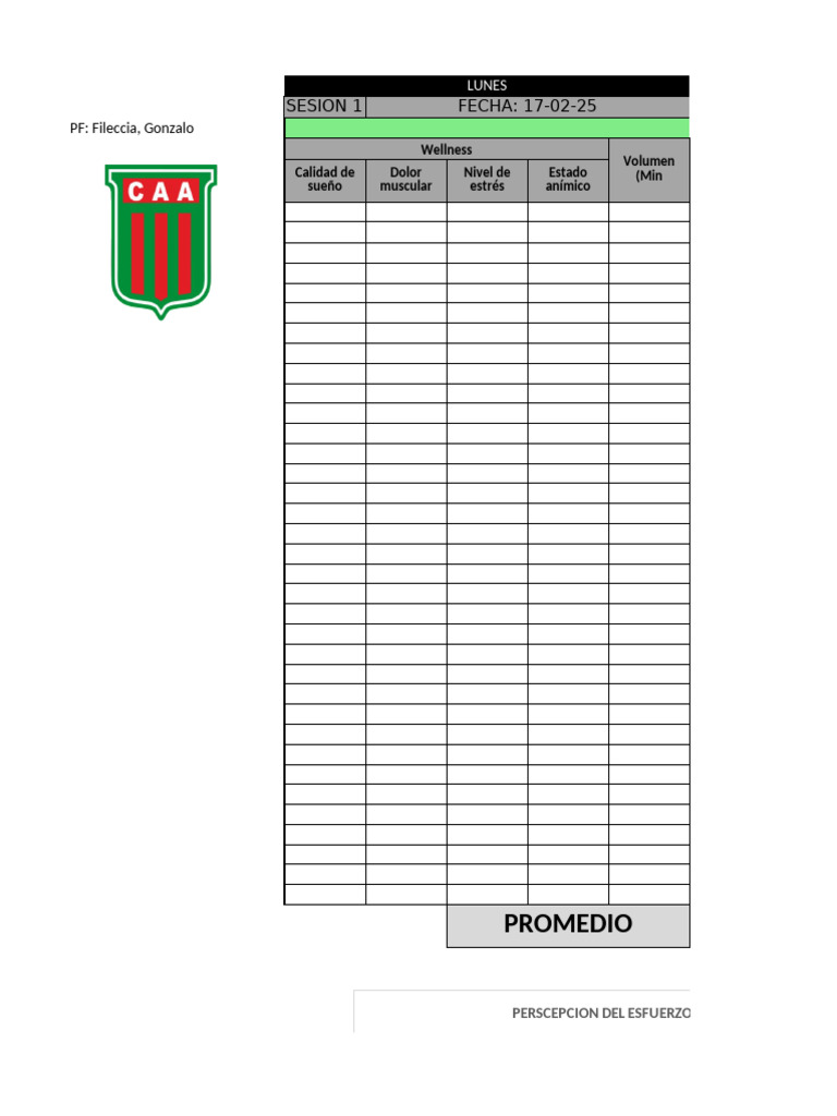 Planilla de Control de La Carga Interna RPE y WELLNESS | PDF | Sistema nervioso | Homeostasis Humana