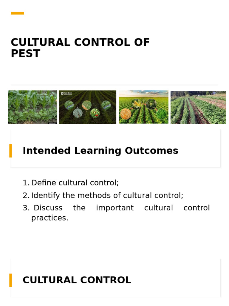 Final Cultural Control of Pest | PDF | Crop Rotation | Pest (Organism)